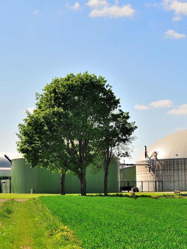 World Biogas Association (WBA) | Global biogas industry leaders call on ...
