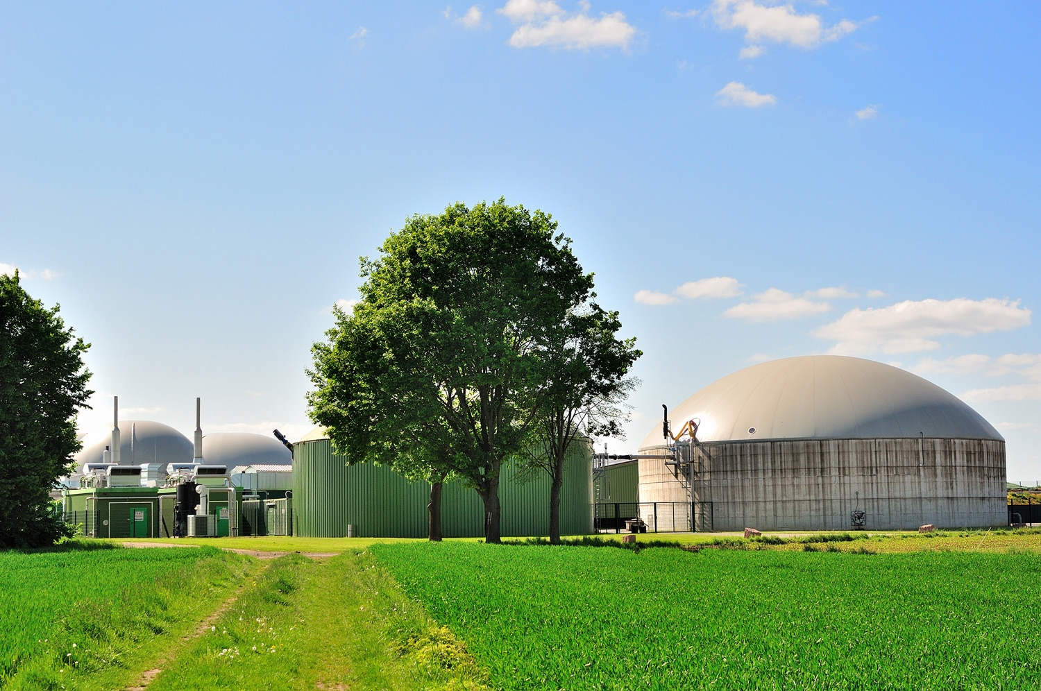 World Biogas Association (WBA) | CCAC bioenergy/biogas webinar