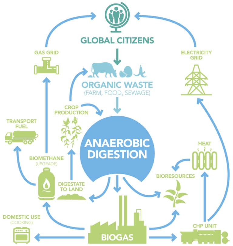 World Biogas Association (WBA) | "It is critical that we usher in a new ...