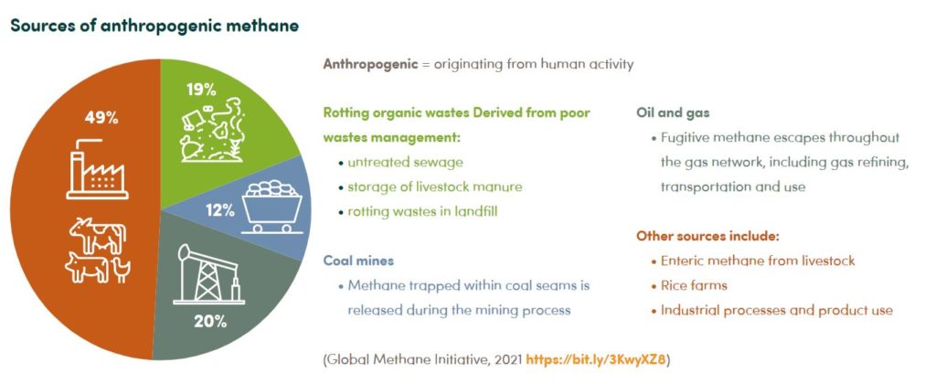 World Biogas Association (WBA) | COP27 - World Biogas Association to ...
