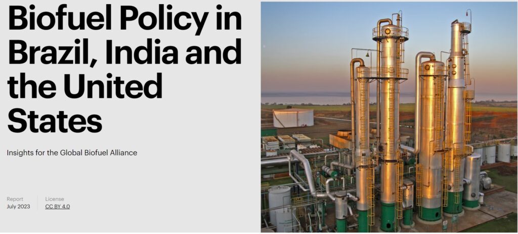 World Biogas Association (WBA) | Biofuel: A Renewable Road to Net Zero ...