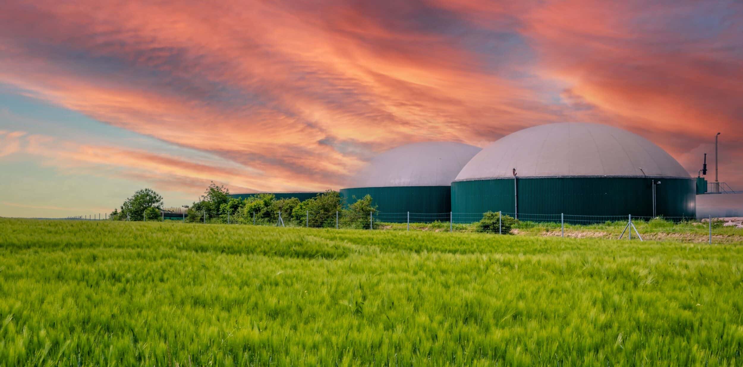 World Biogas Association | Making biogas happen