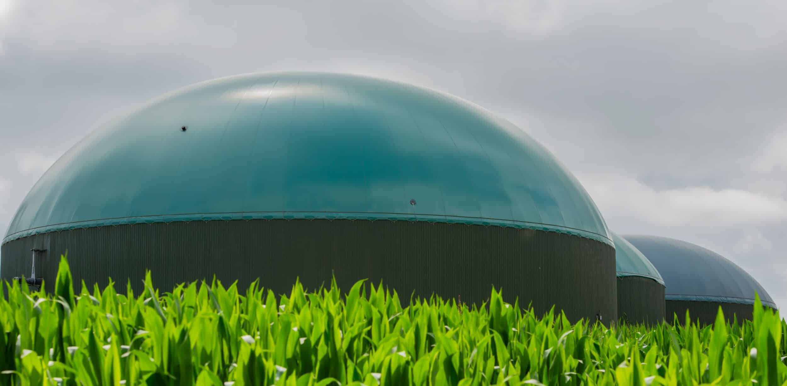 World Biogas Association | #MakingBiogasHappen